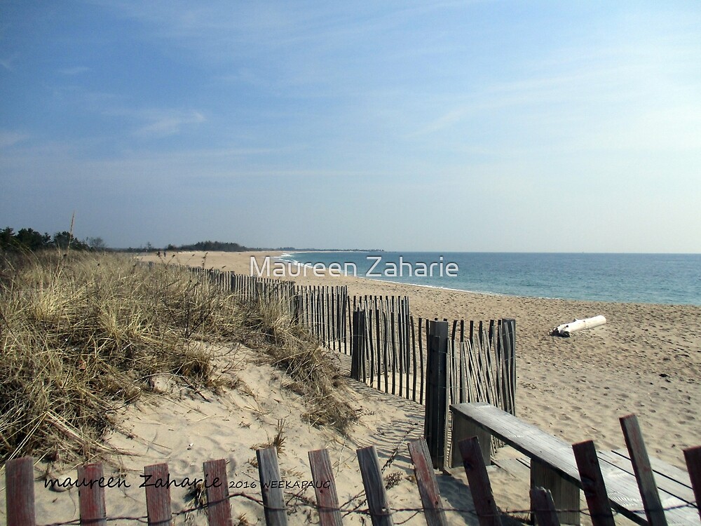 "WEEKAPAUG BEACH FENCE 2016" by Maureen Zaharie | Redbubble