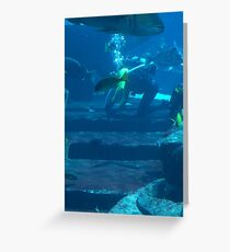 Scuba Diving: Greeting Cards | Redbubble