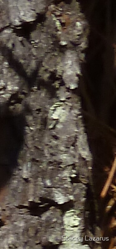 "Uncanny Entities, Tree Bark People" by Stacey Lazarus | Redbubble