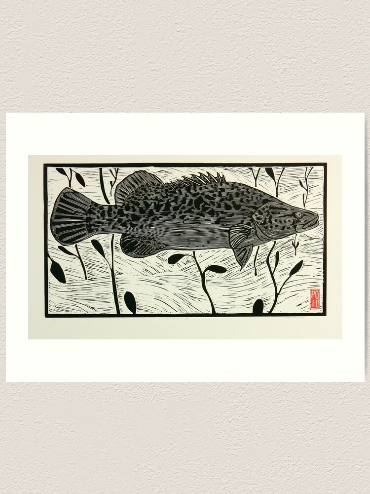 "Murray Cod" Art Print by poswin | Redbubble