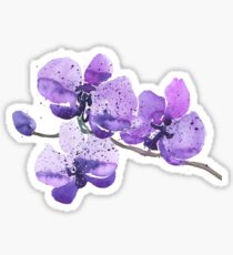 Orchid Stickers | Redbubble