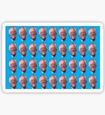 Bernie Sanders: Stickers | Redbubble