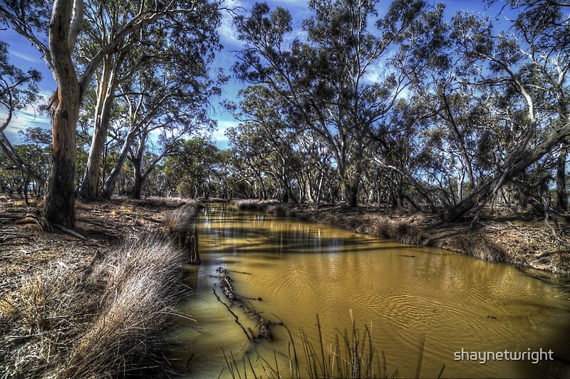 "Australian billabong" by shaynetwright | Redbubble