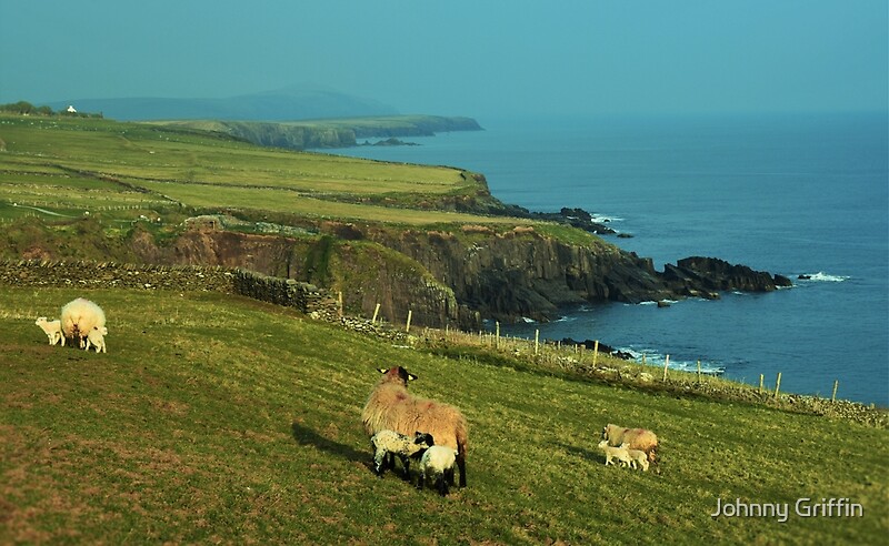 "Dingle Peninsula" by Johnny Griffin | Redbubble