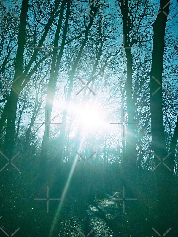 "Sunny cross, the sun brightly shining through bare winter trees at ...