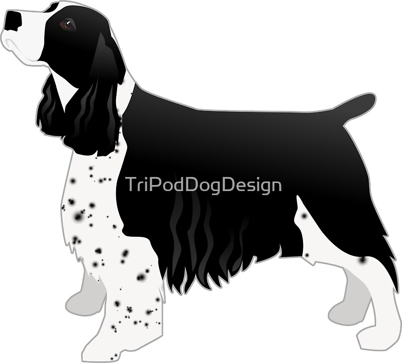 English Springer Spaniel Silhouette: Gifts & Merchandise | Redbubble
