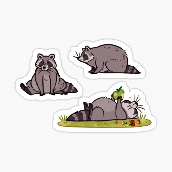 Raccoon Stickers | Redbubble