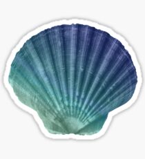 Sea Shell: Stickers | Redbubble