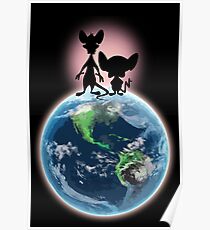 Pinky and the Brain Posters | Redbubble