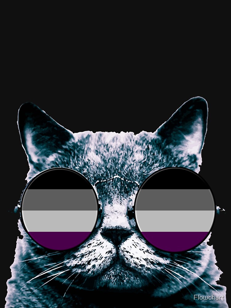 Asexual Cat With Sunglasses Pullover Hoodie By Flowchart Redbubble