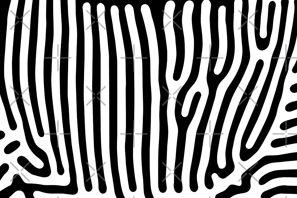 "Liquid Zebra Black and White Abstract Animal Print Pattern" by ...
