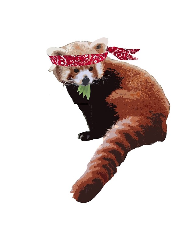 "Karate Red Panda" by acefraager | Redbubble