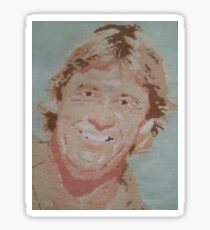Steve Irwin: Stickers | Redbubble