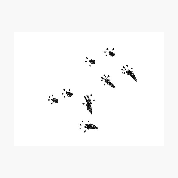 Rat Paw Wall Art | Redbubble