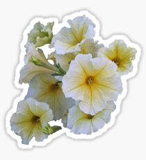 Wildflower: Stickers | Redbubble
