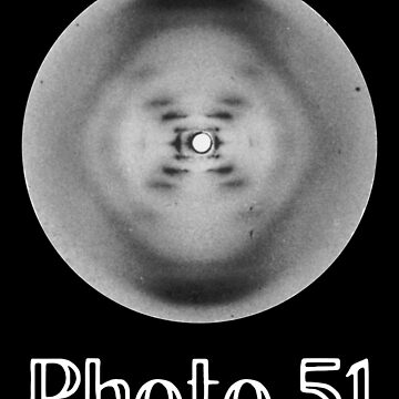 "Photo 51 X-ray diffraction of DNA by Rosalind Franklin, Raymond ...