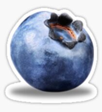 Blueberry Stickers | Redbubble