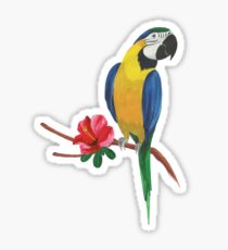 Parrot: Stickers | Redbubble