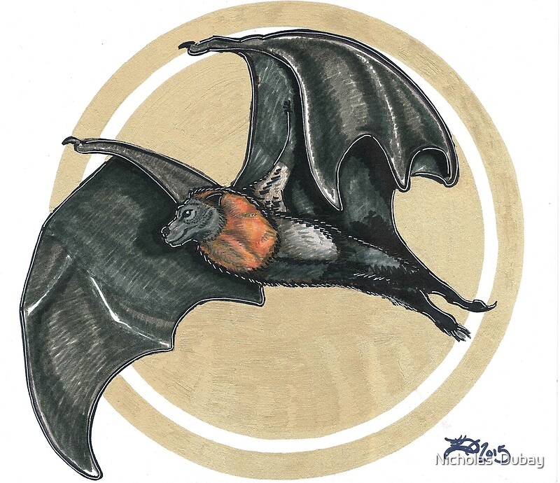"Flying Fox Nouveau" by Nicholas Dubay | Redbubble
