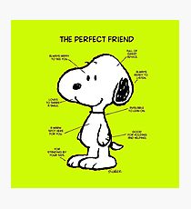 Snoopy: Wall Art | Redbubble