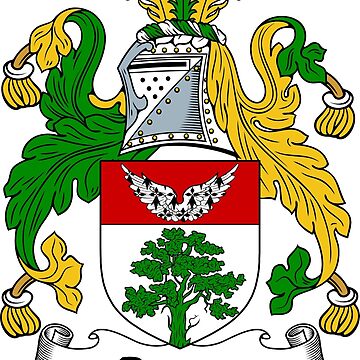 "Rainey Coat of Arms / Rainey Family Crest" Photographic Print for Sale ...