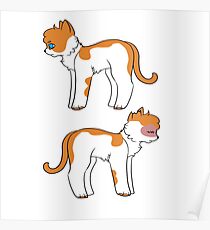 Warrior Cats: Posters | Redbubble