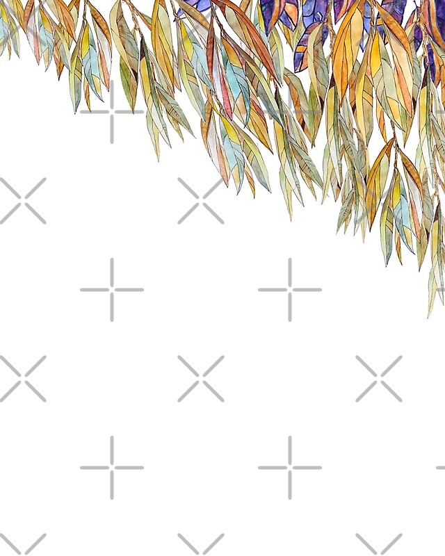 "Watercolor willow sprigs" by SpottedPilot | Redbubble