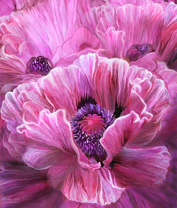 "Pink Poppy Splash" by Carol Cavalaris | Redbubble
