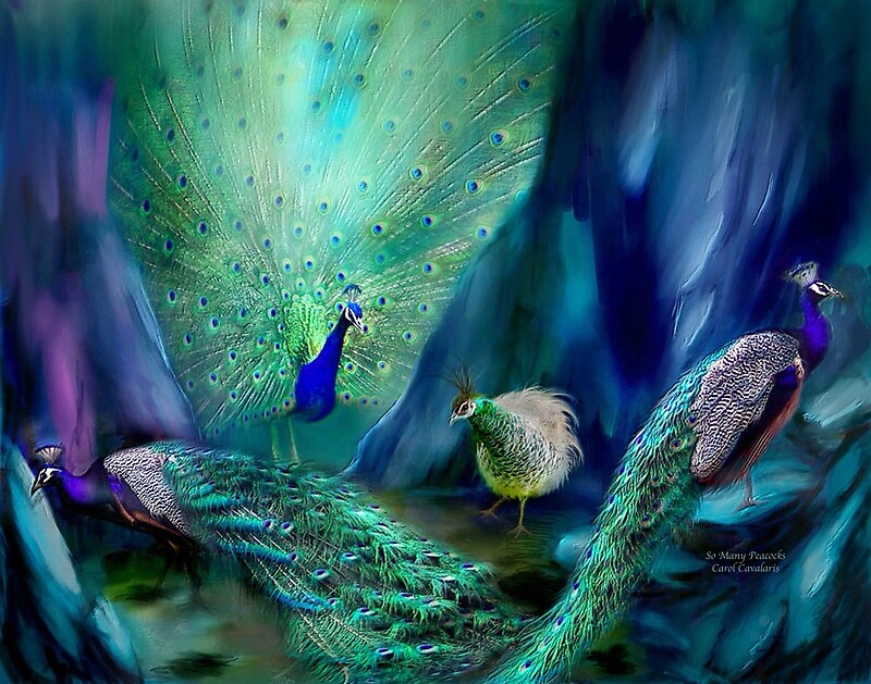 "So Many Peacocks" by Carol Cavalaris | Redbubble