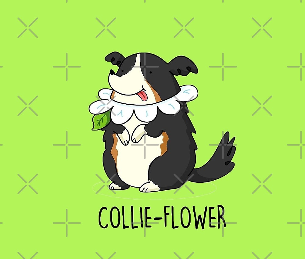 "Collie-Flower Cauliflower Cartoon Pun" by 14Smith15 | Redbubble