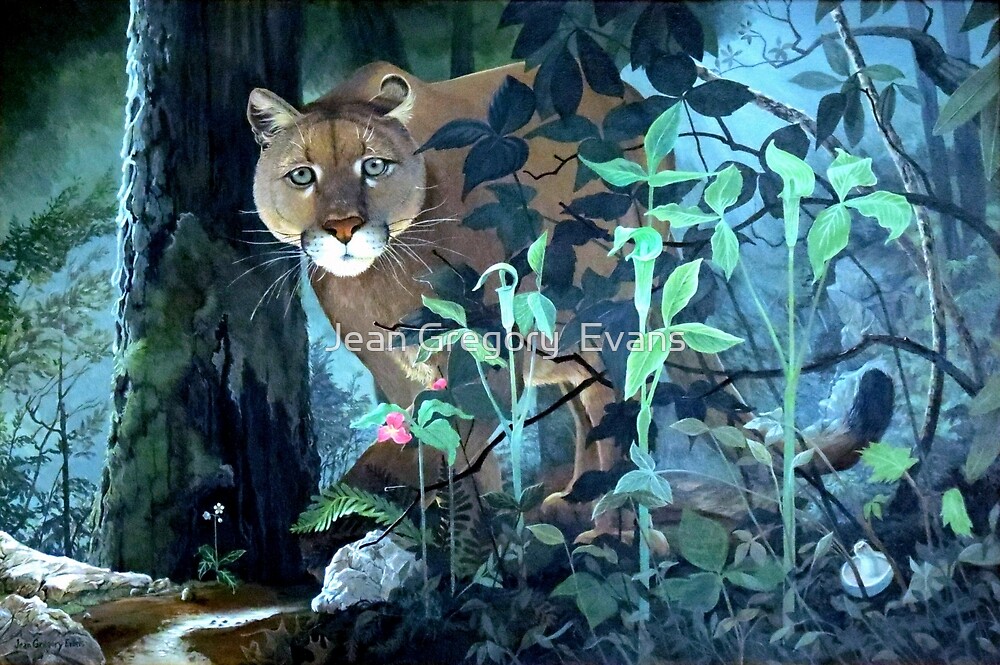 "Cougar, Trillium, Wintergreen, Indian Turnip and Poison Ivy" by Jean ...