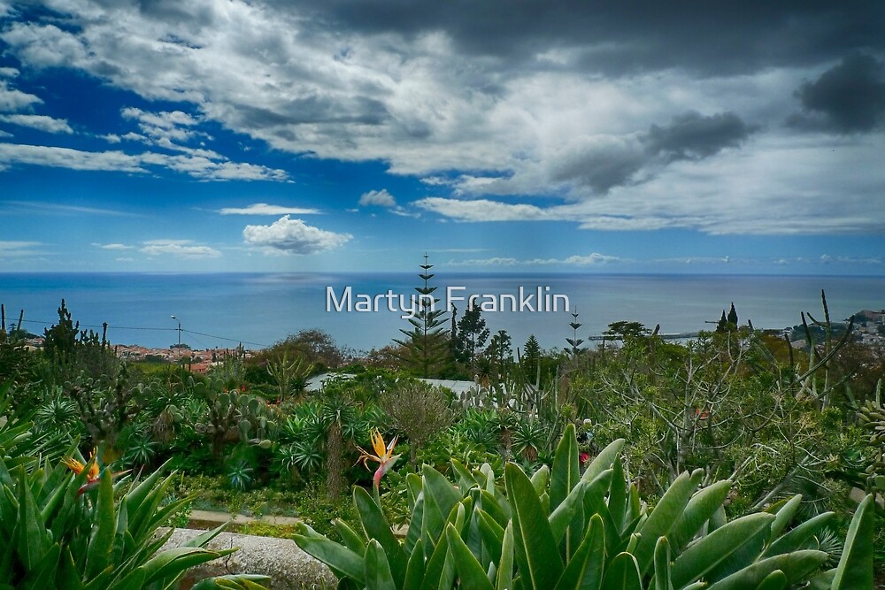 "Madiera the beautiful Island" by Martyn Franklin | Redbubble