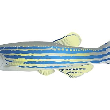 "Zebrafish" Sticker for Sale by Letters-Art | Redbubble
