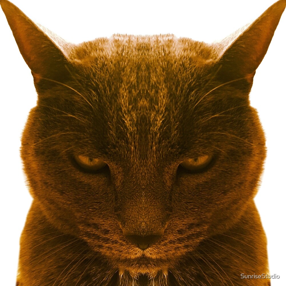 "Vigo Cletus Evil Cat Russian Blue from Heck Your Daily Cletus" by ...