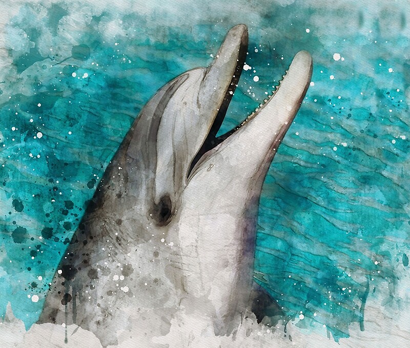 "Dolphin portrait digital watercolour effect" by Gerald Waters | Redbubble