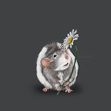 "A Rat and a Daisy - Dark Grey" Art Board Print for Sale by Doodle-Pip ...
