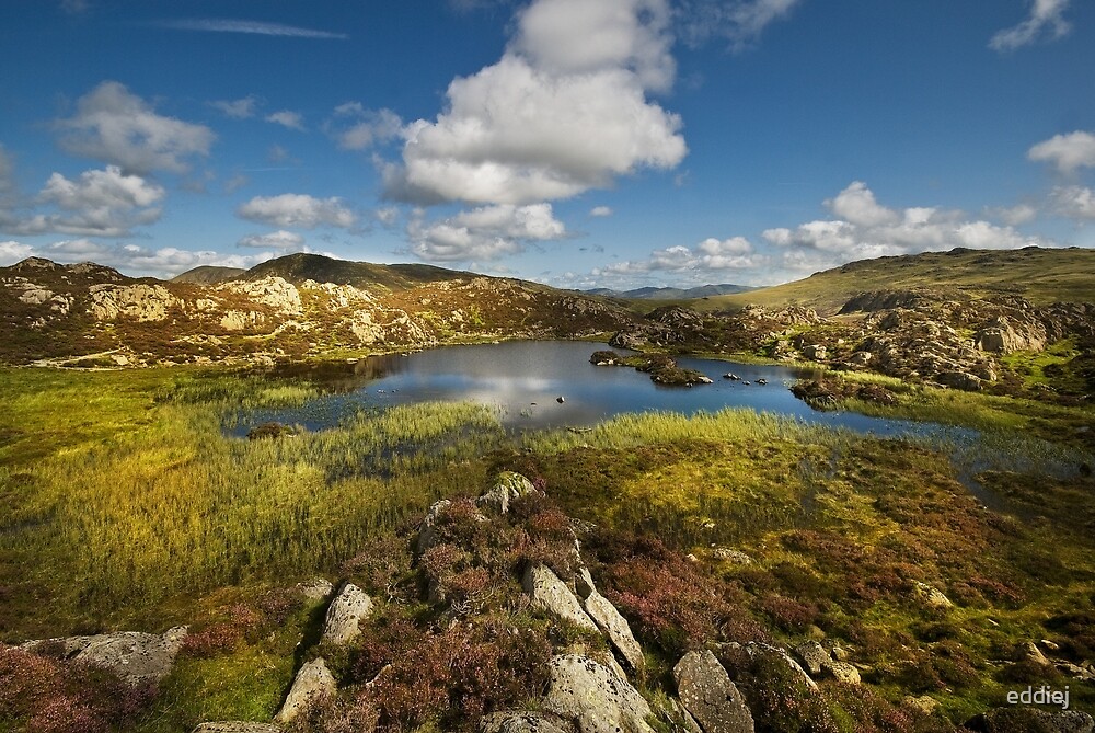 "Innominate Tarn - Haystacks" by eddiej | Redbubble