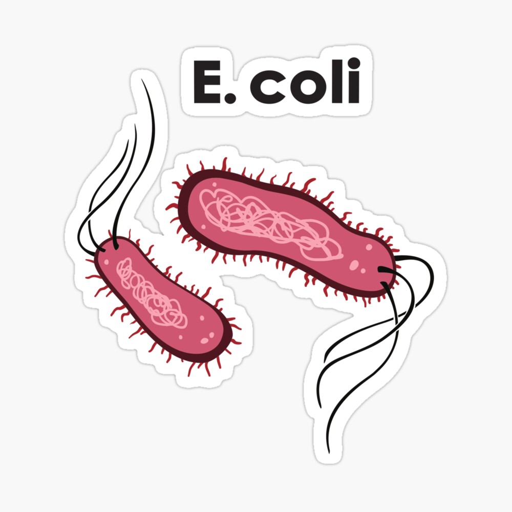 Shop von BiocraftLab | Redbubble