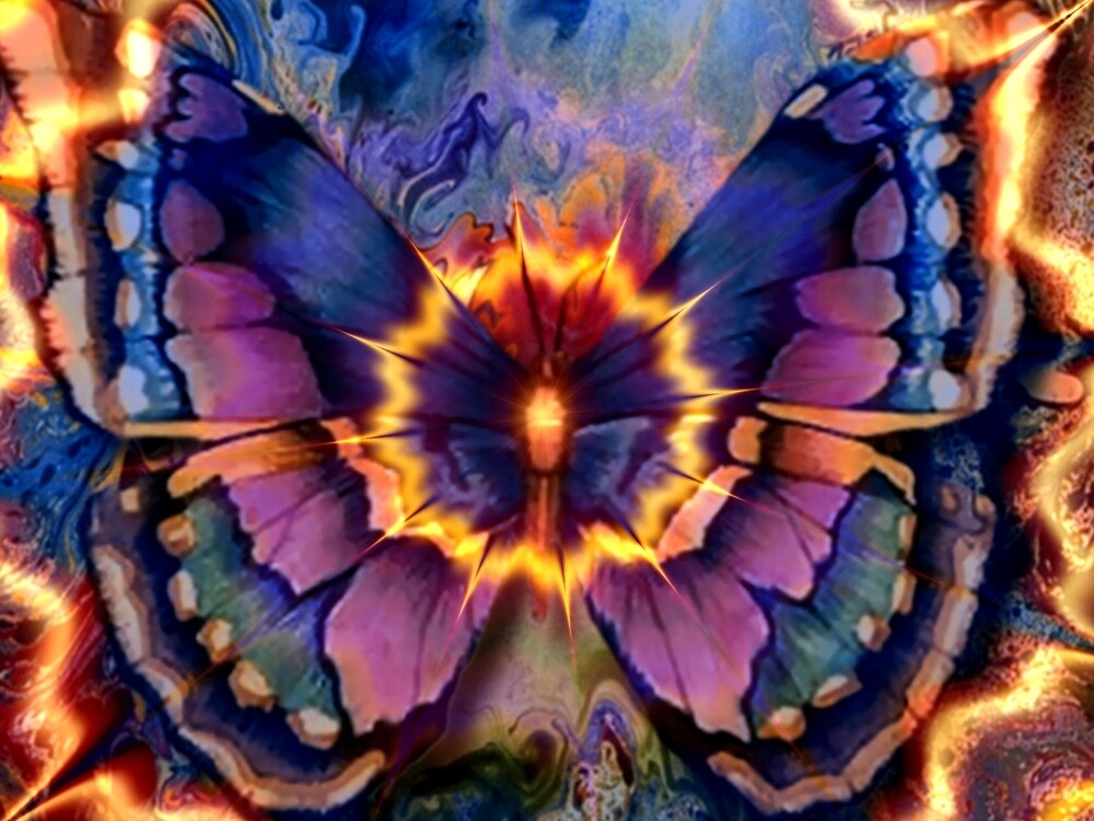 "Celestial Butterfly" by Brian Exton | Redbubble
