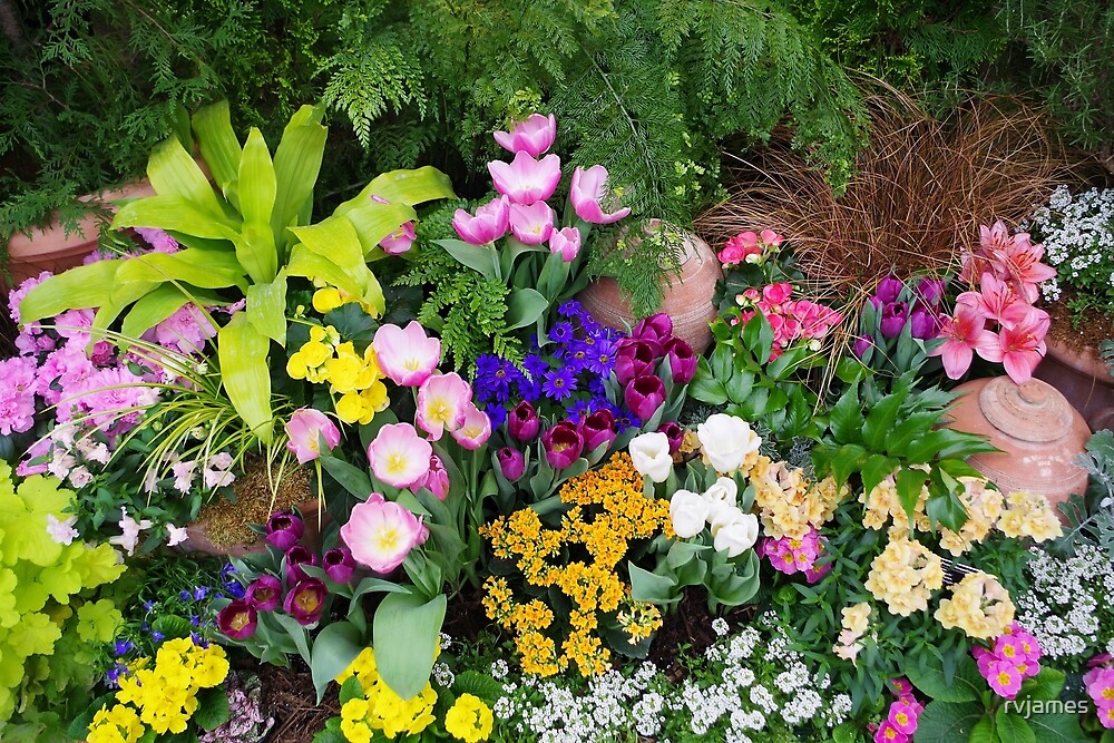 "Floral Spectacular - Olbrich Botanical Gardens Spring Flower Show ...