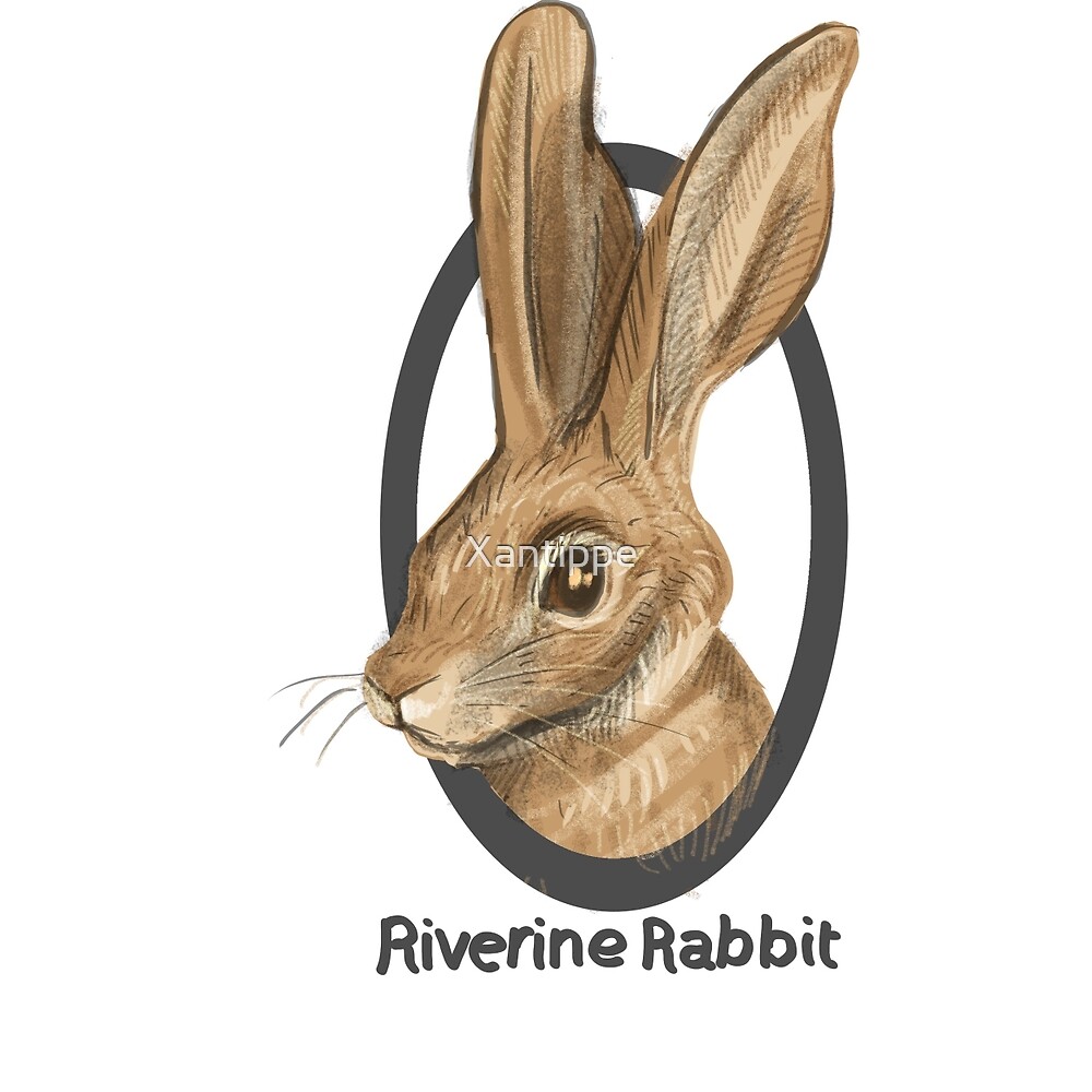 "Riverine Rabbit" by Xantippe | Redbubble