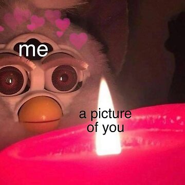 "Meme furby" Sticker for Sale by The Lone vendor | Redbubble