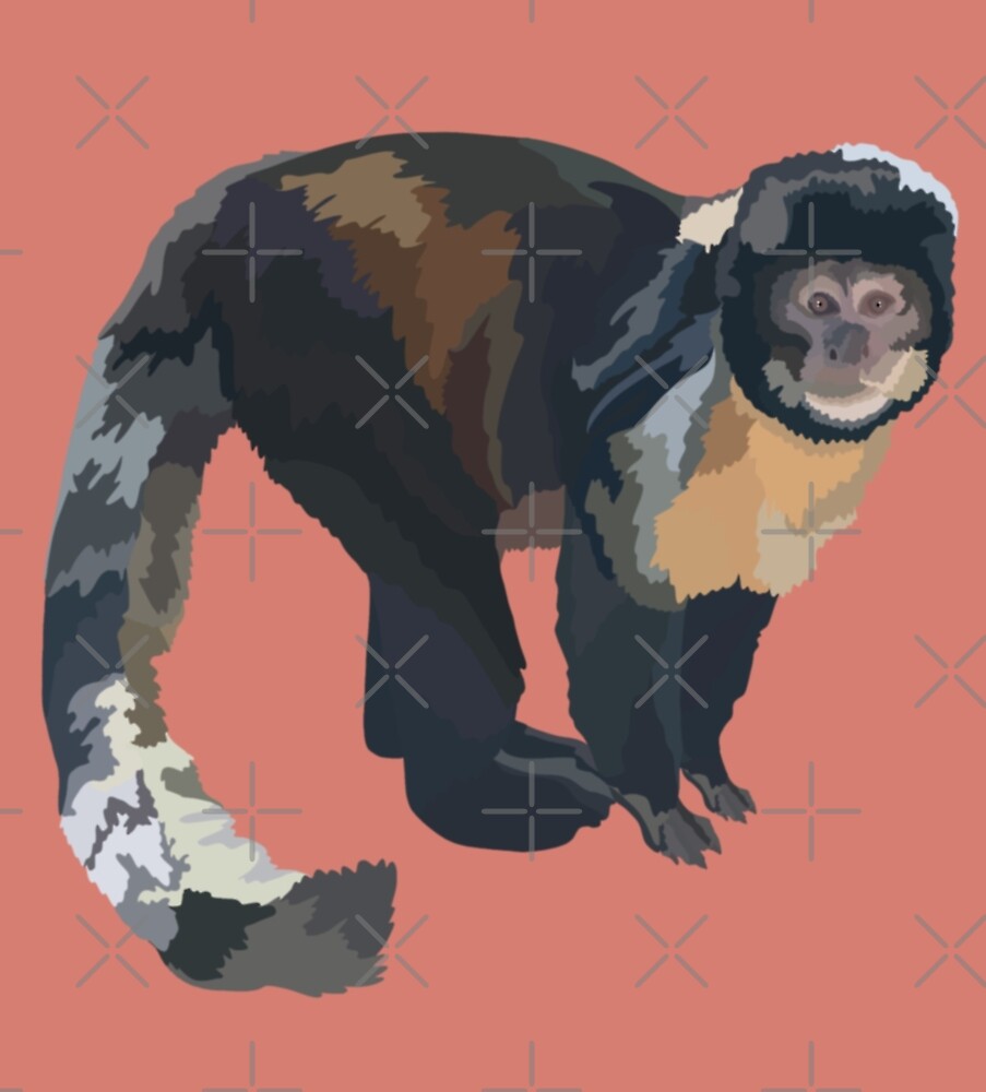 "C is for Capuchin " by thezoogirl | Redbubble