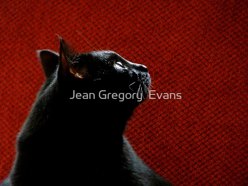 "Things Are Always Looking Up." by Jean Gregory Evans | Redbubble