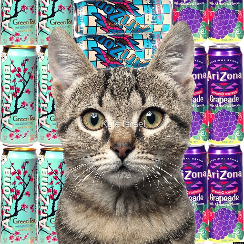 "Arizona Iced Tea Cat" by Kyle Israel | Redbubble