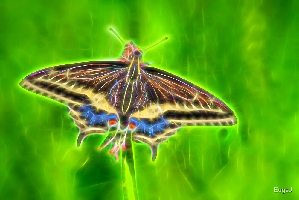 "Electric Butterfly" by EugeJ | Redbubble