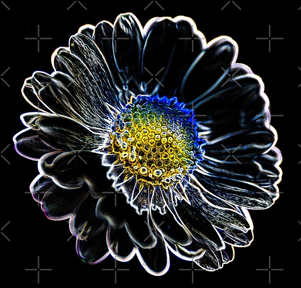 "bloom - art" by OE993 | Redbubble