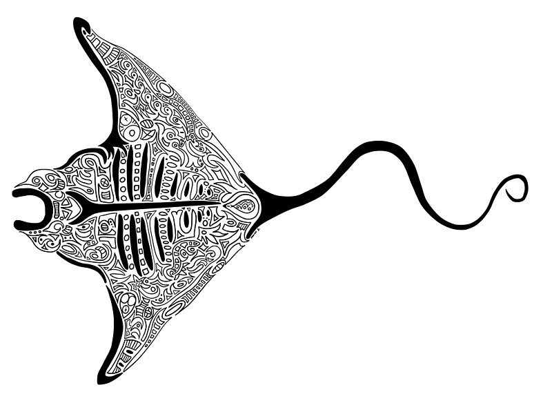 "Manta Ray Doodle" by Miles J. | Redbubble