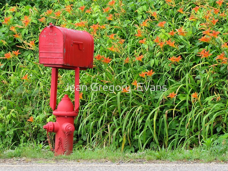 "Firehouse Mailbox and Fire Hydrant" by Jean Gregory Evans | Redbubble