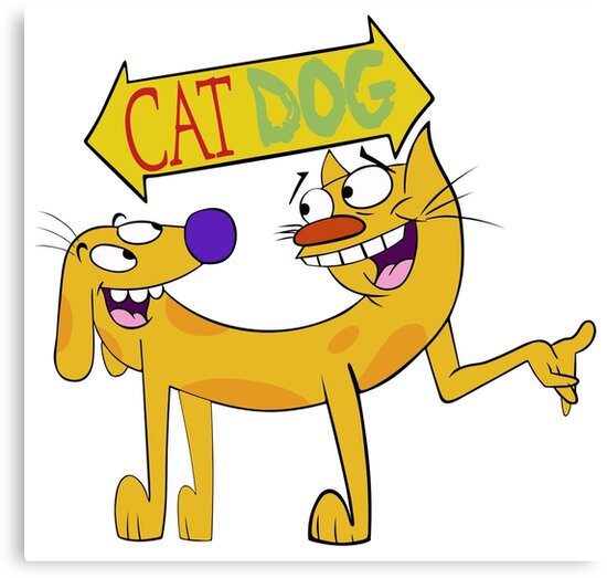 Memes Raton De Catdog